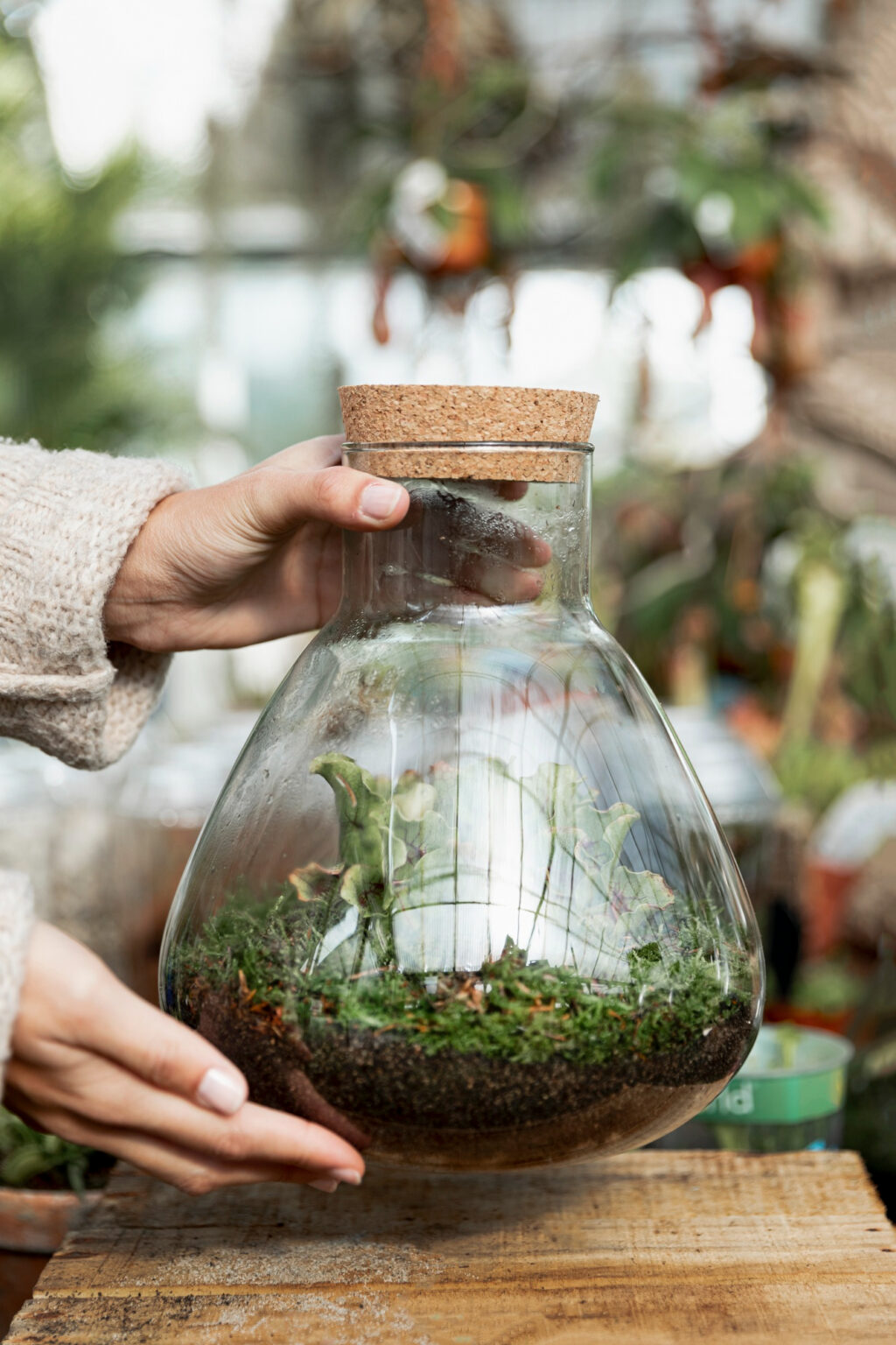 Comment faire un terrarium fermé ? - Terrarium Shop
